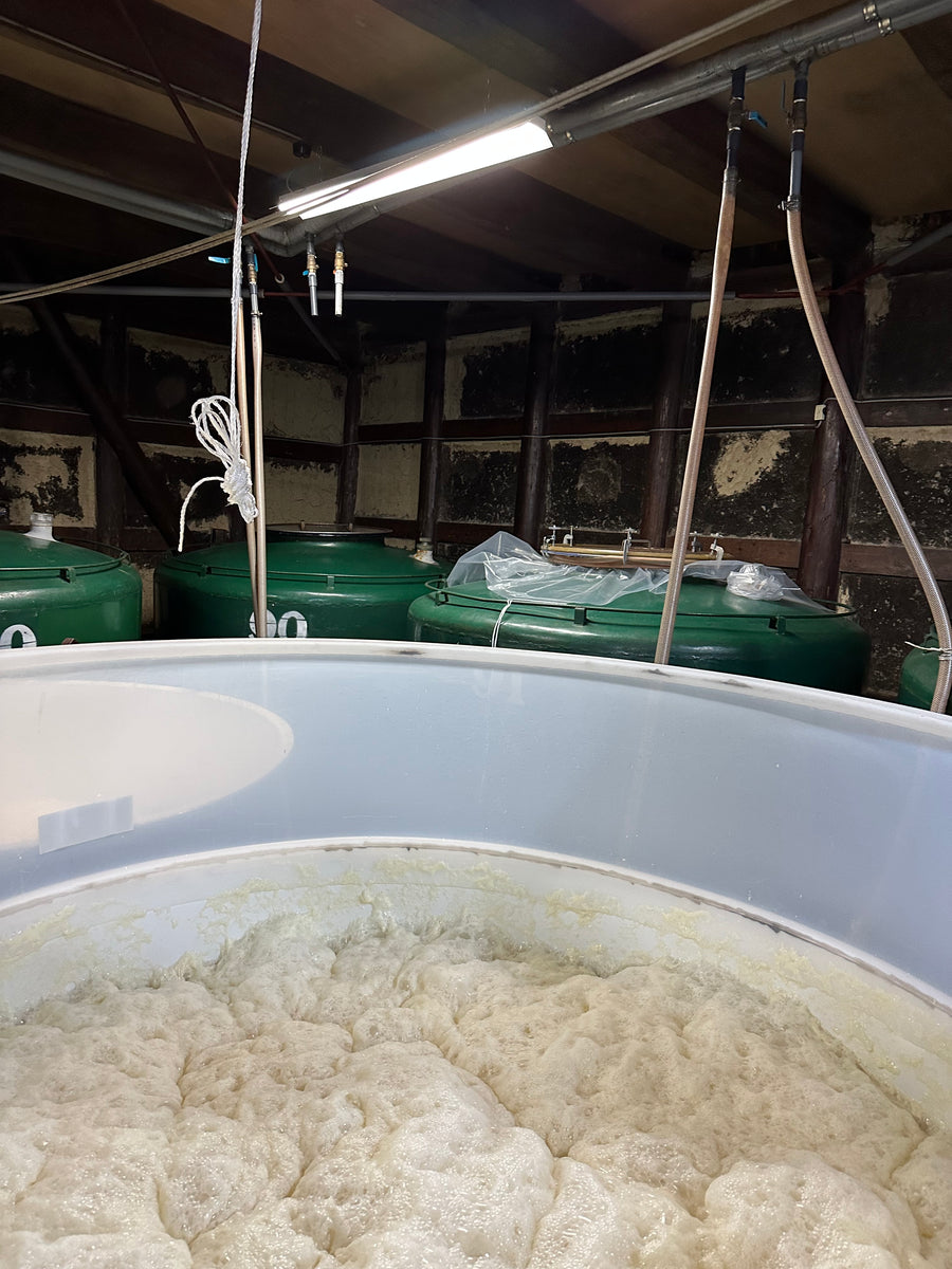 Uehara Shuzo - Furosen Wataribune – Fossa Provisions